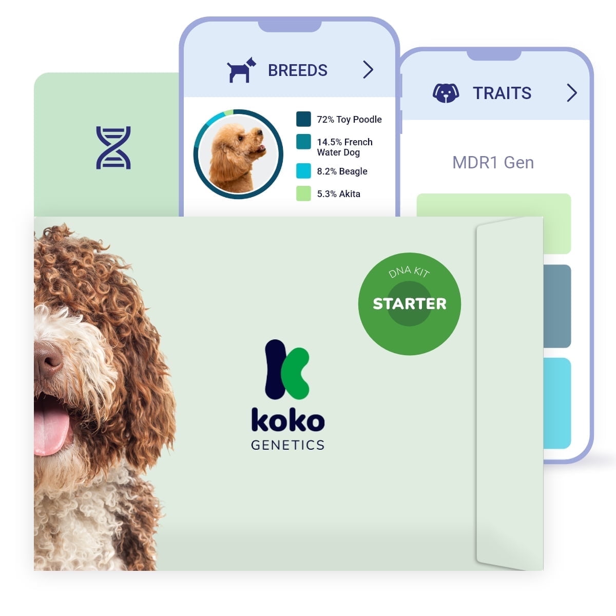 Koko DNA Test for Dogs | Starter PLUS Range | Breeds & Traits Reports ...