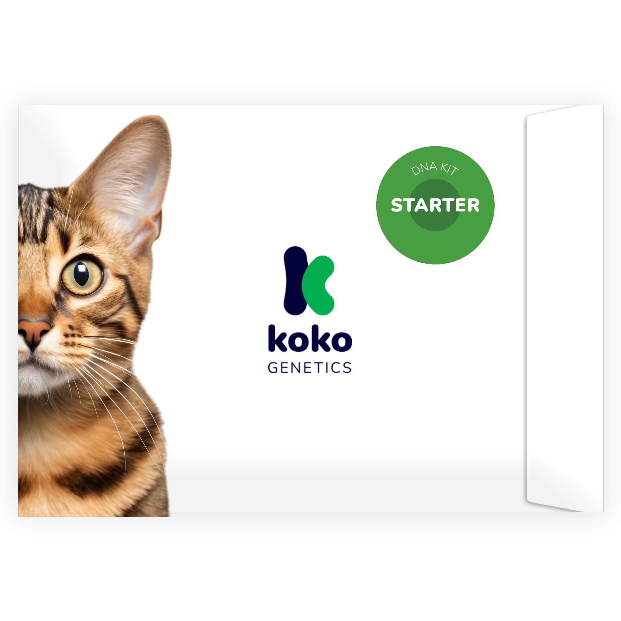tellmeGen DNA Test for Cats, Starter Range, Breeds Traits Reports, All ...