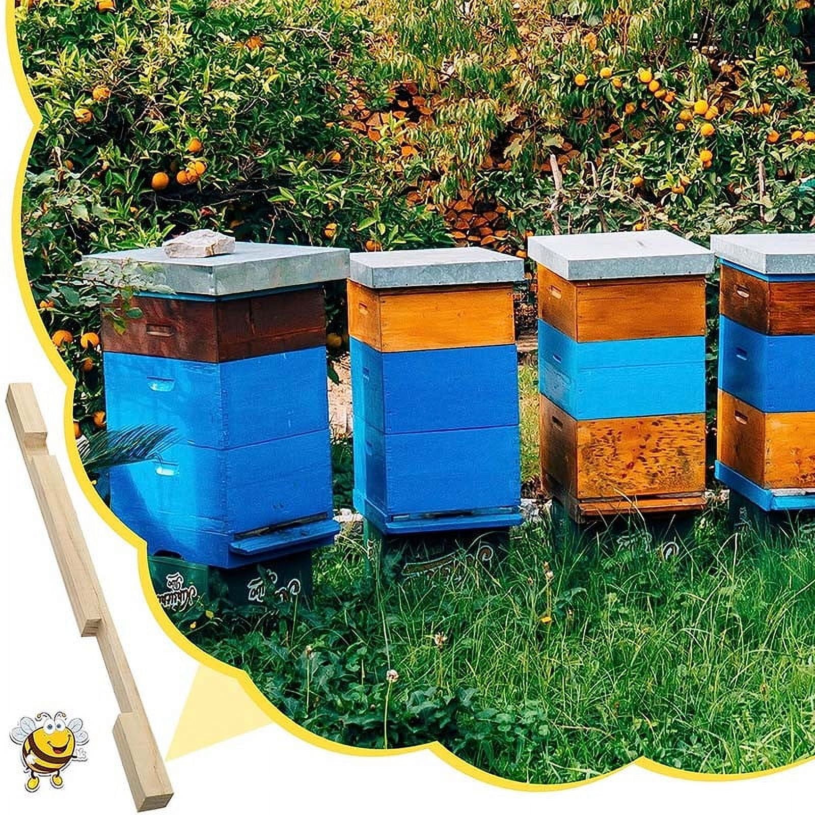 Kokovifyves Home Items Clearance Sale Beehive Inlet Reducer Wood Bee ...
