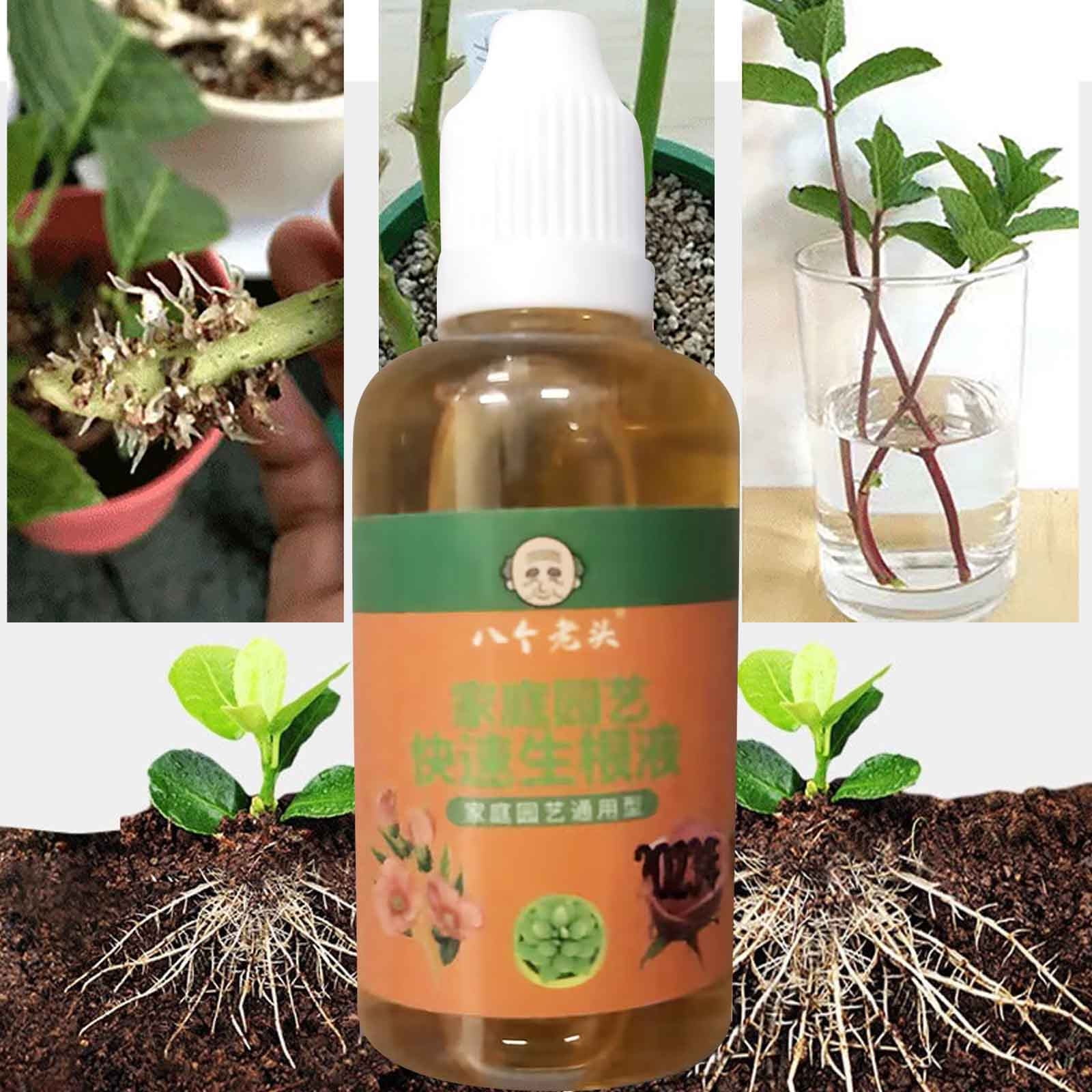 Kokovifyves Home Items Clearance Sale Eight Old Men Fast Rooting Liquid ...
