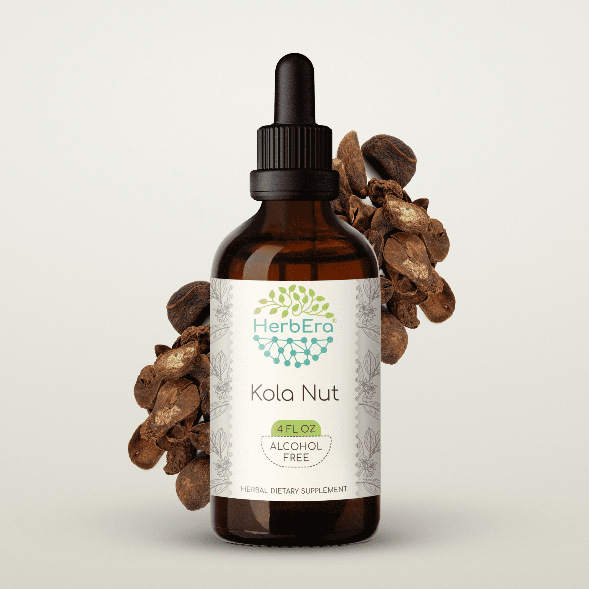 Kola Nut Alcohol-FREE Herbal Extract Tincture, Super-Concentrated ...