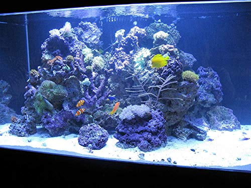 Kolar Labs - DI Color Changing Deionization Resin – for Fish Tanks ...