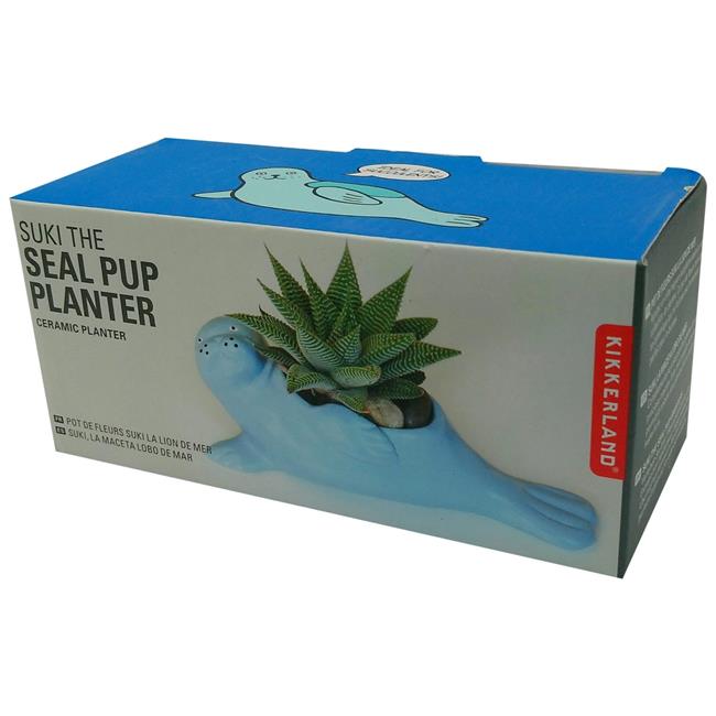 Kole Imports AH299 Kikkerland Suki The Seal Pup Planter - Pack of 18 ...