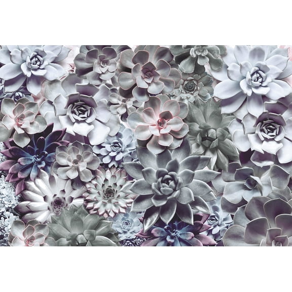 Komar Stone Paste Included Paper Wall Mural, 100.8-in by 145.2-in ...