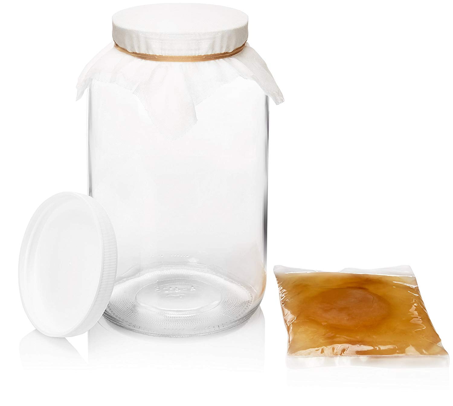 Kombucha Starter Kit - Fresh SCOBY and 1 Gallon Glass Jar with Cloth ...