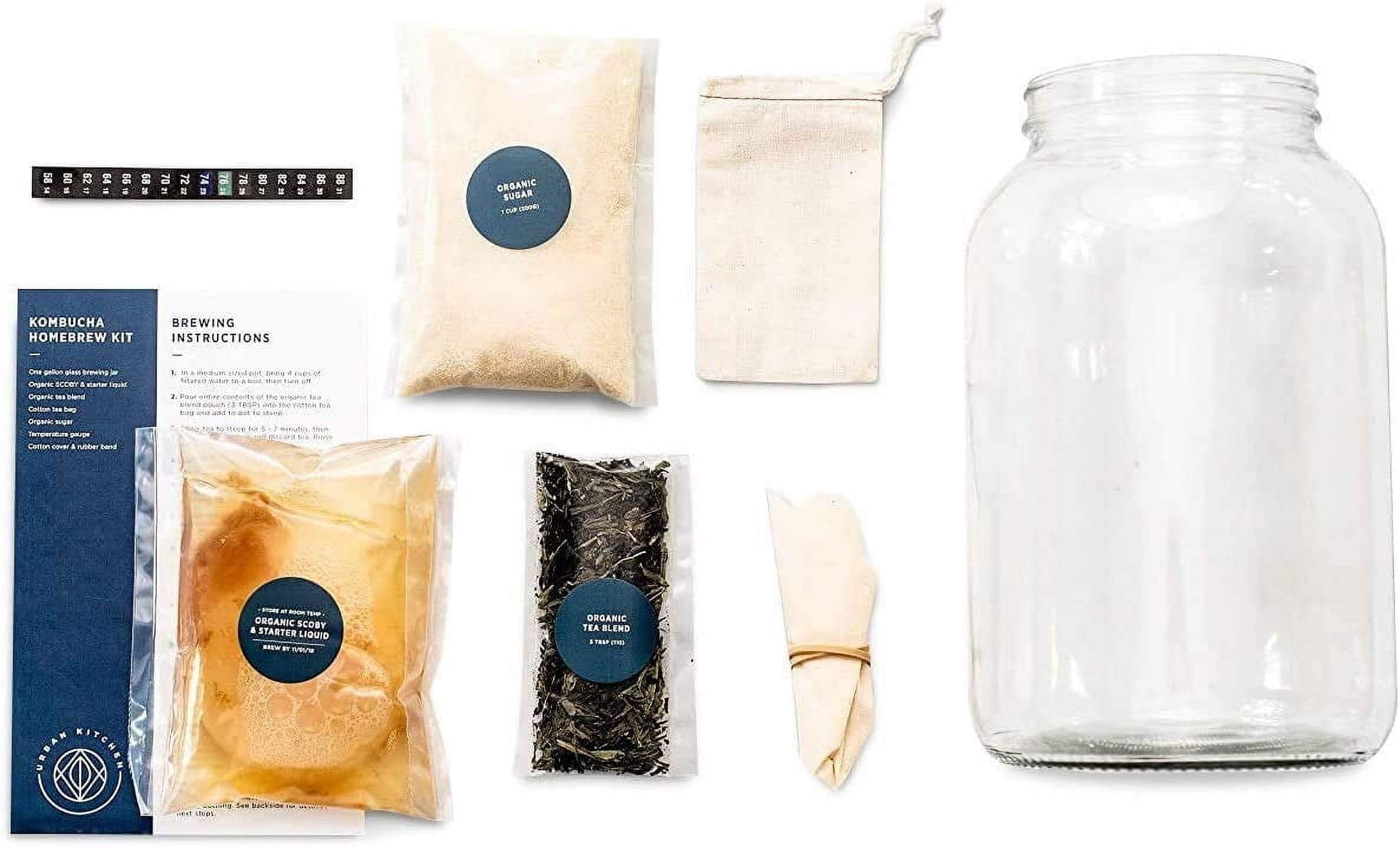 Kombucha Starter Kit - Organic Kombucha SCOBY & Strong Starter Liquid ...