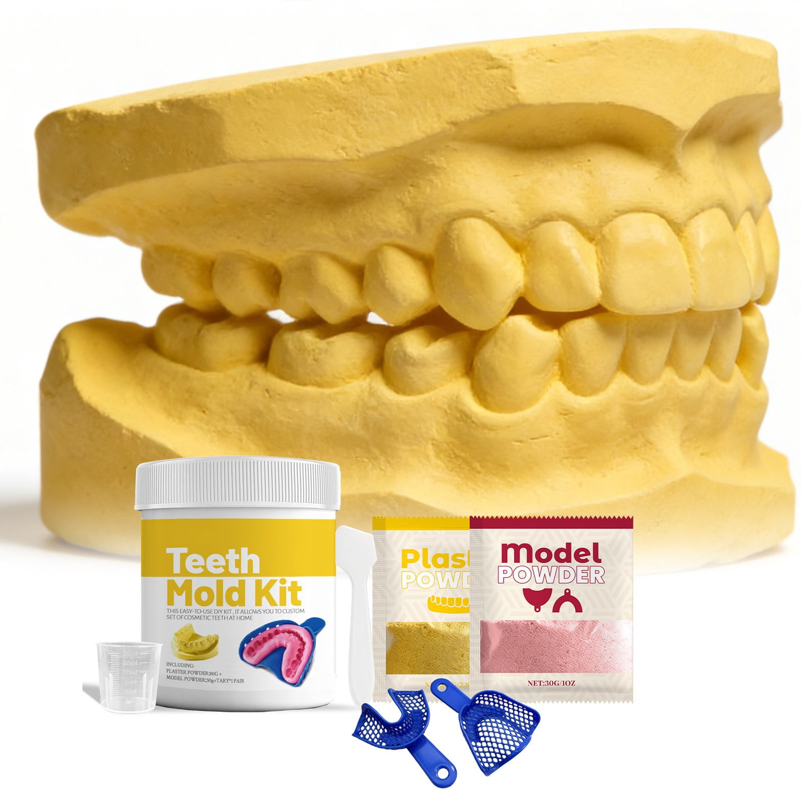 Komiseup Tooth Plaster Model Set Helps To Complete The Tooth Model ...