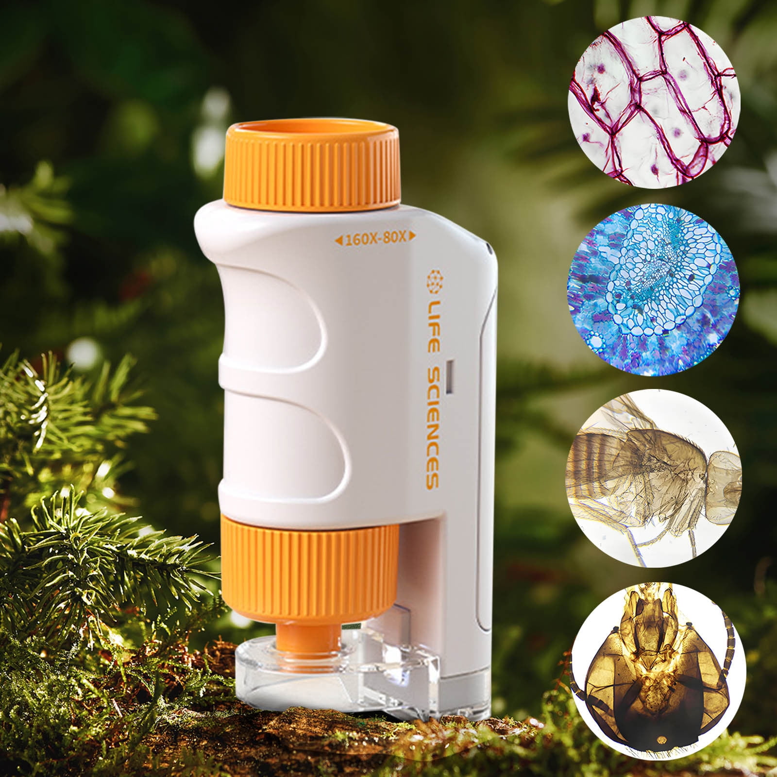 Konghyp Kids Microscope – Handheld Portable 80x-160x Magnification ...