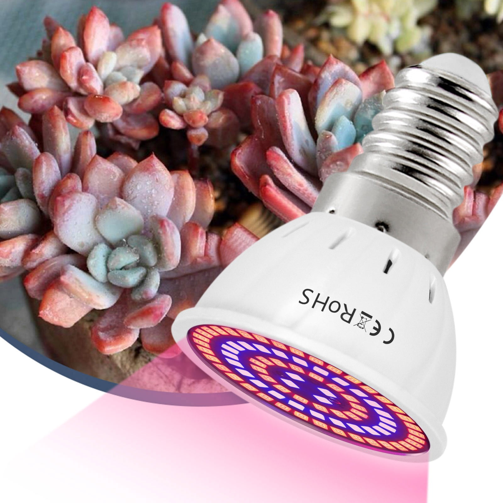 Konghyp LED Plant Lamp E14 – Red and Blue Spectral Growth Light for ...