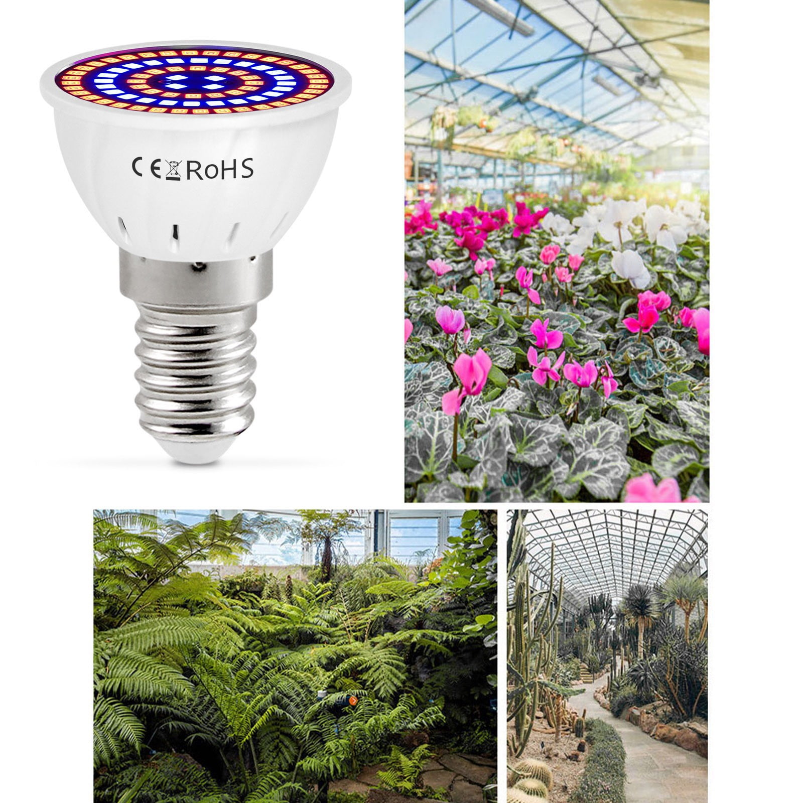 Konghyp LED Plant Lamp E14 – Red and Blue Spectral Growth Light for ...