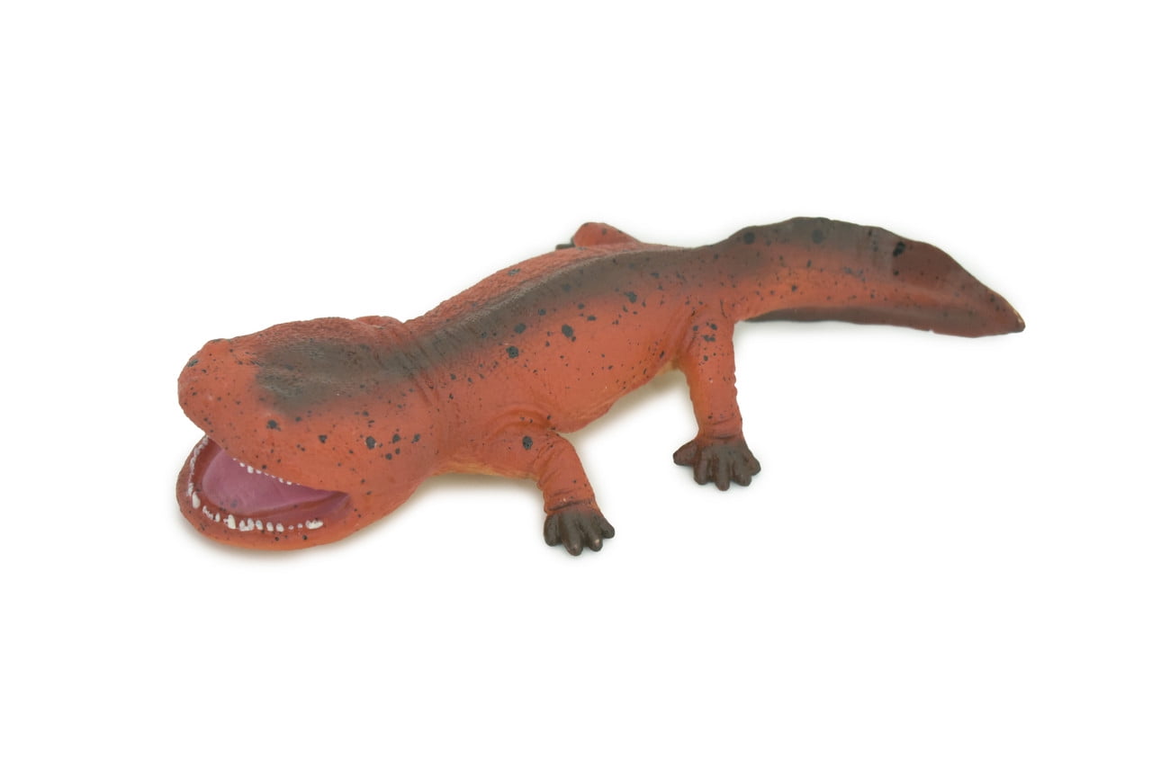 Koolasuchus Cleelandi, Red, Prehistoric Amphibian, Museum Quality, Hand ...