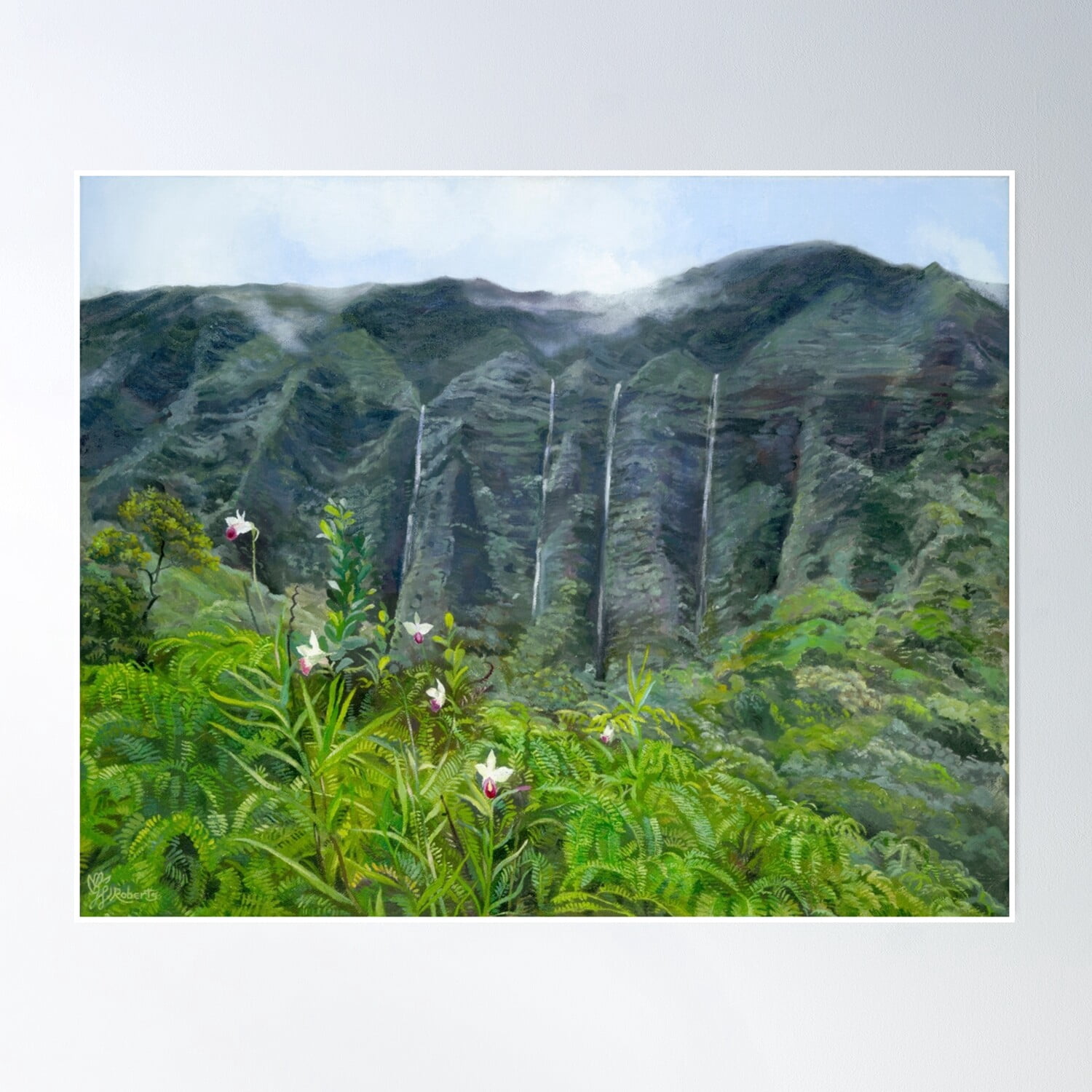 Koolau Orchids Poster Wall Art, Modern Wall Decor, 24x36 UNFRAMED ...