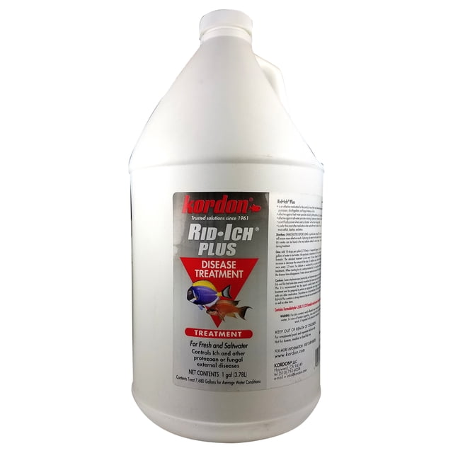 Kordon Rid Ich Plus Diseas Treatment for Fresh and Saltwater, 1 Gallon ...