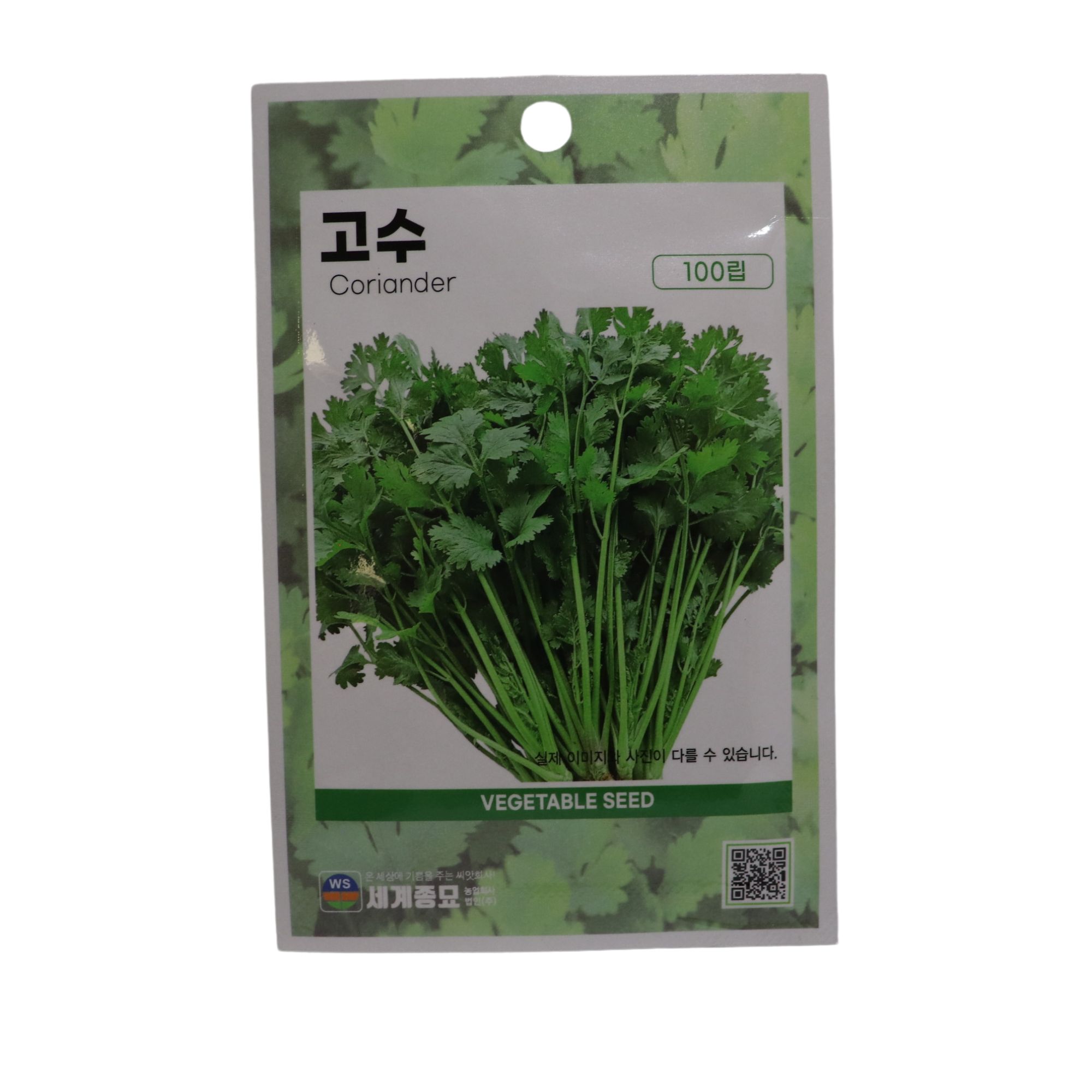 Korean Coriander/Cilantro Herb Seeds, 100 Pack - Walmart.com