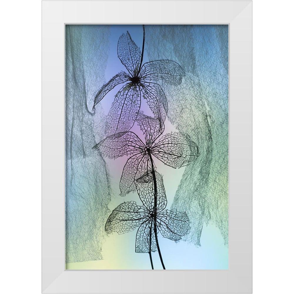 Kowatari, Shihya 11x14 White Modern Wood Framed Museum Art Print Titled ...