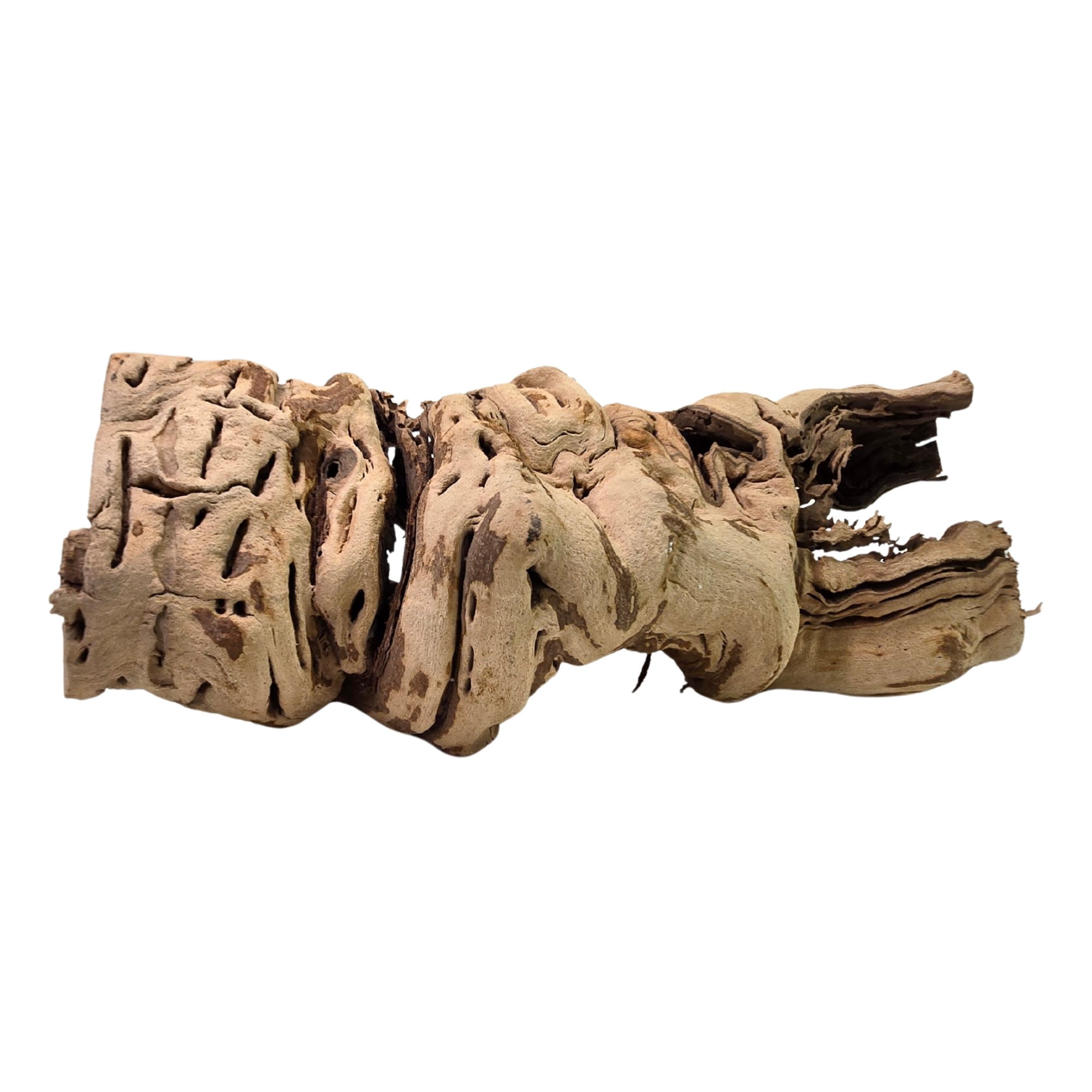 Koyal Wholesale 18" Hollow Grapewood Branch, Pack of 1, Grapewood ...