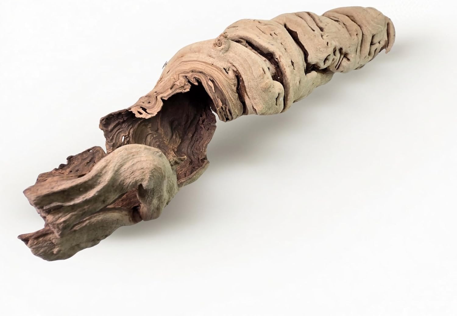 Koyal Wholesale 24" Hollow Grapewood Branch, Pack of 1, Grapewood ...