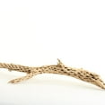 Koyal Wholesale Cholla Wood 18 to 20-Inch, Aquarium Branches, Airplants ...