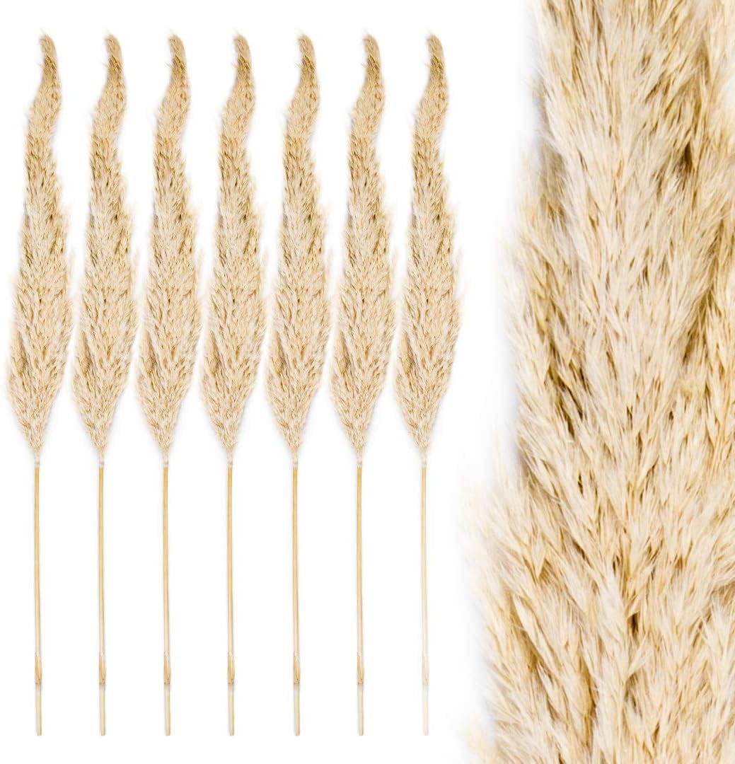 Koyal Wholesale Real Dried Pampas Grass Decor Plumes, 28-32 Inches ...