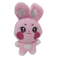 Kpop ATEEZ X ANITEEZ Plush Keyring Plush Doll DDEONGbyeoli Cartoon ...