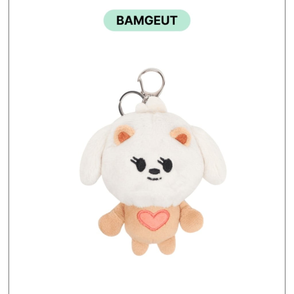 Kpop Fans Merch,Kpop Idol TXT PPULBATU Plush Keyring Keychains TOMORROW ...