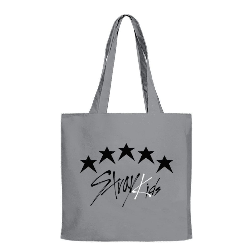 Kpop Fans Merch,Kpop Stray Kids SKZ Tote 5-Star Album Logo Merch ...