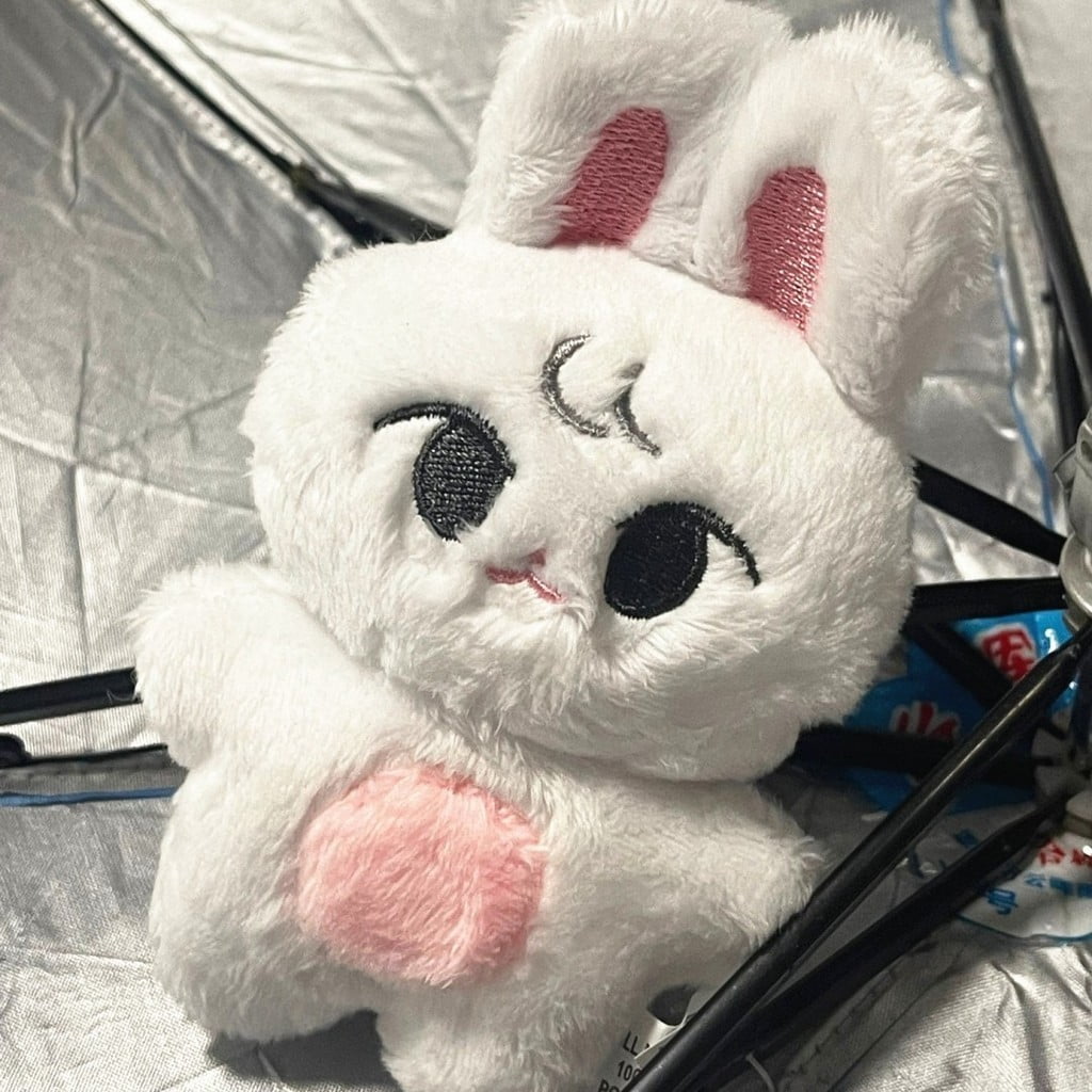 Kpop Idol NCT127 Pet Cafe Animal Doll Plush Doll Stuffed Toys - Walmart.com