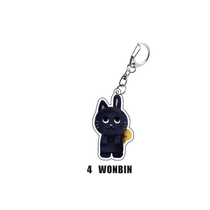Kpop Idol RIIZE Cartoon Acrylic Key Ring Keychains - Walmart.com