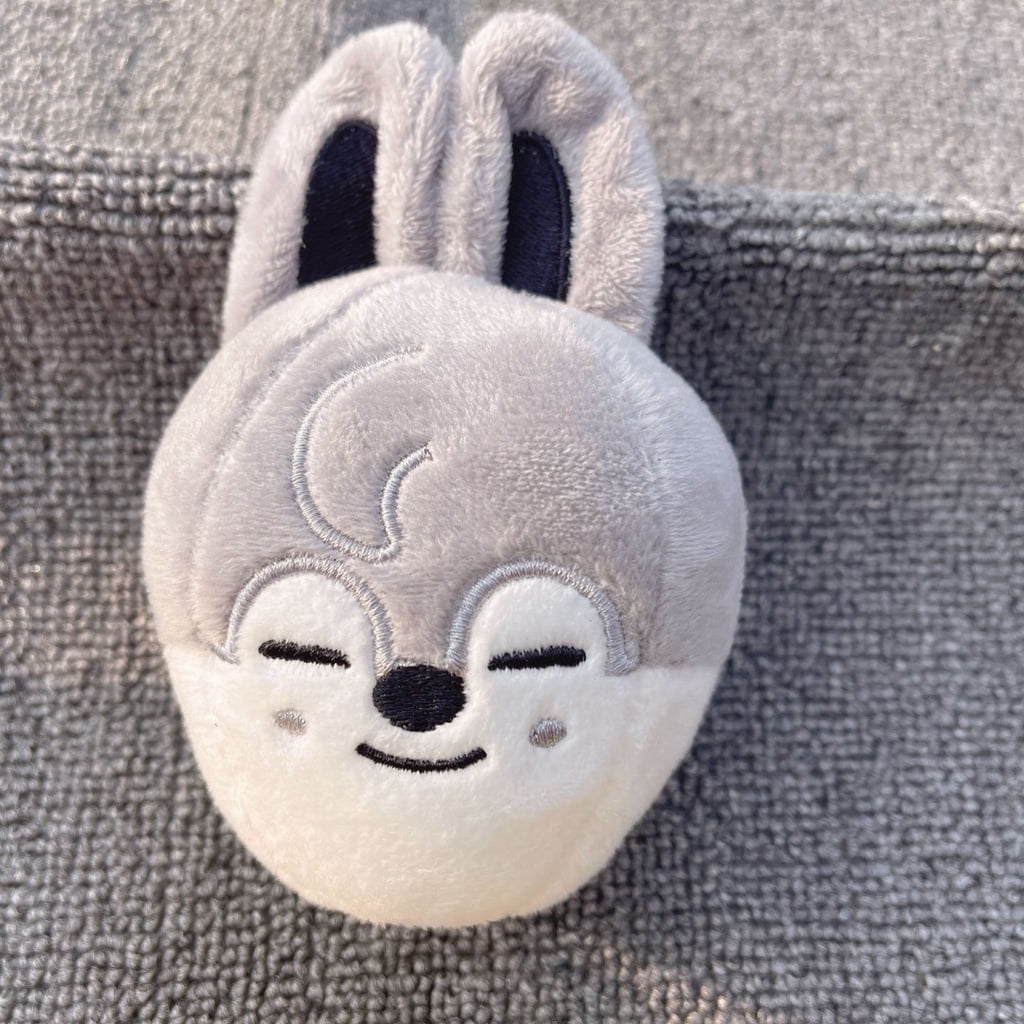 Kpop Idol Stray Kids Bag Charm 5-STAR Dome Tour 2023 Skz Plush Face ...