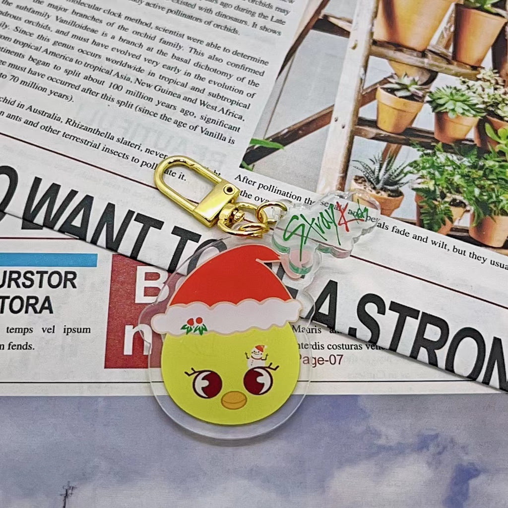 Kpop Idol StrayKids Christmas Collection Acrylic Key Ring SKZ Keychain ...