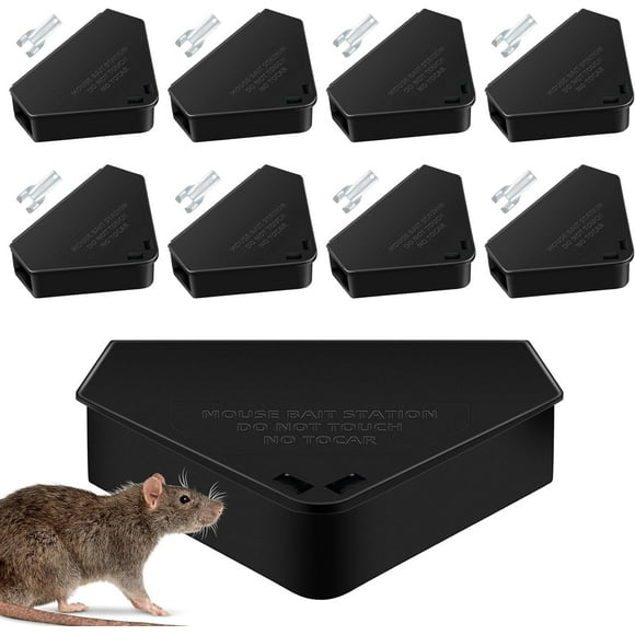 Rat Trap Box
