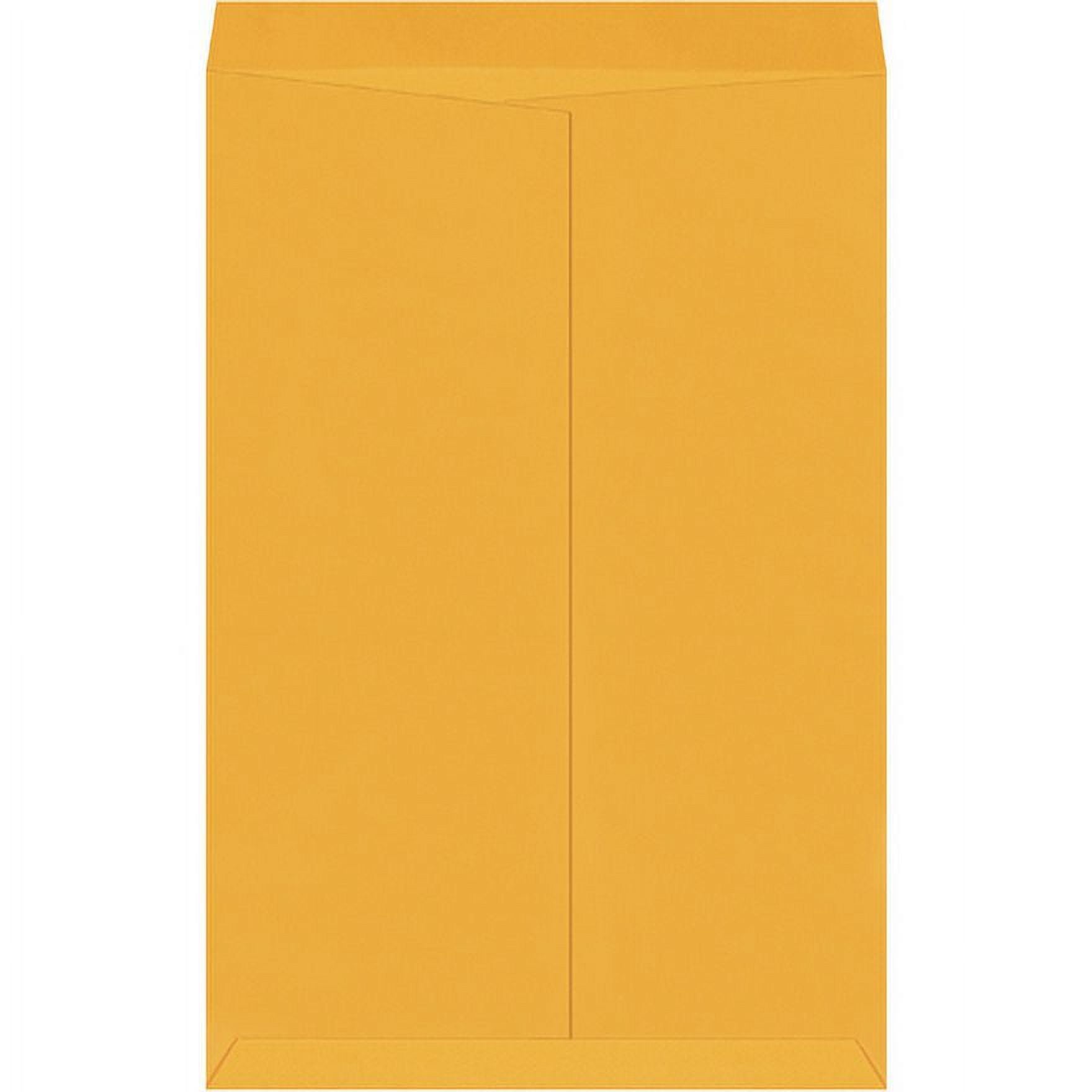 Kraft Jumbo Envelopes 24 x 36" - Protects Oversized Items - Pack of 100 ...