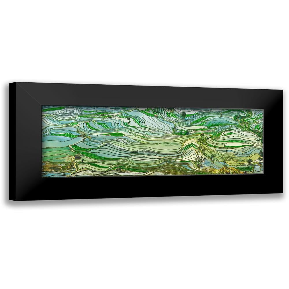 Krahmer, Frank 24x11 Black Modern Framed Museum Art Print Titled - Rice ...