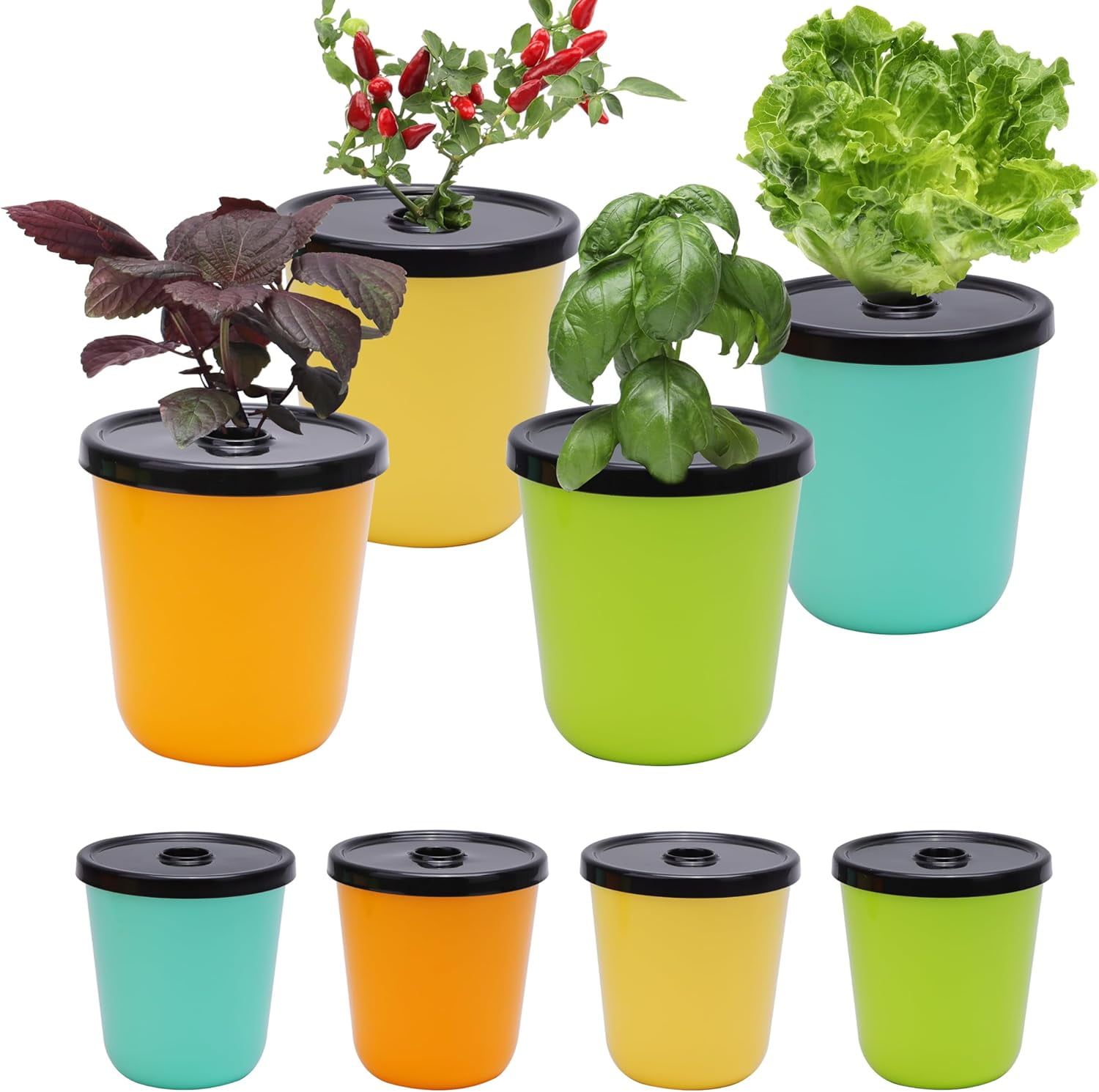 Kratky Method Hydroponic Planter Kit, 8 Hydroponic Planter Plus 24 ...