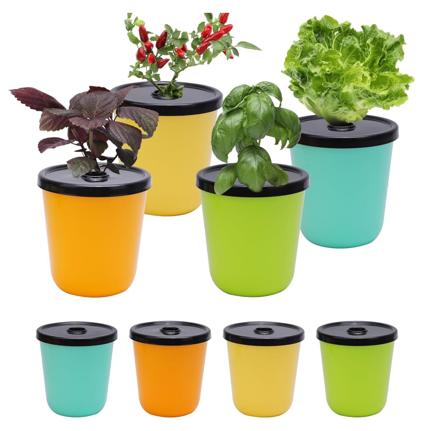 Kratky Method Hydroponic Planters Kit, 8 Hydroponic Planters Plus 24 ...