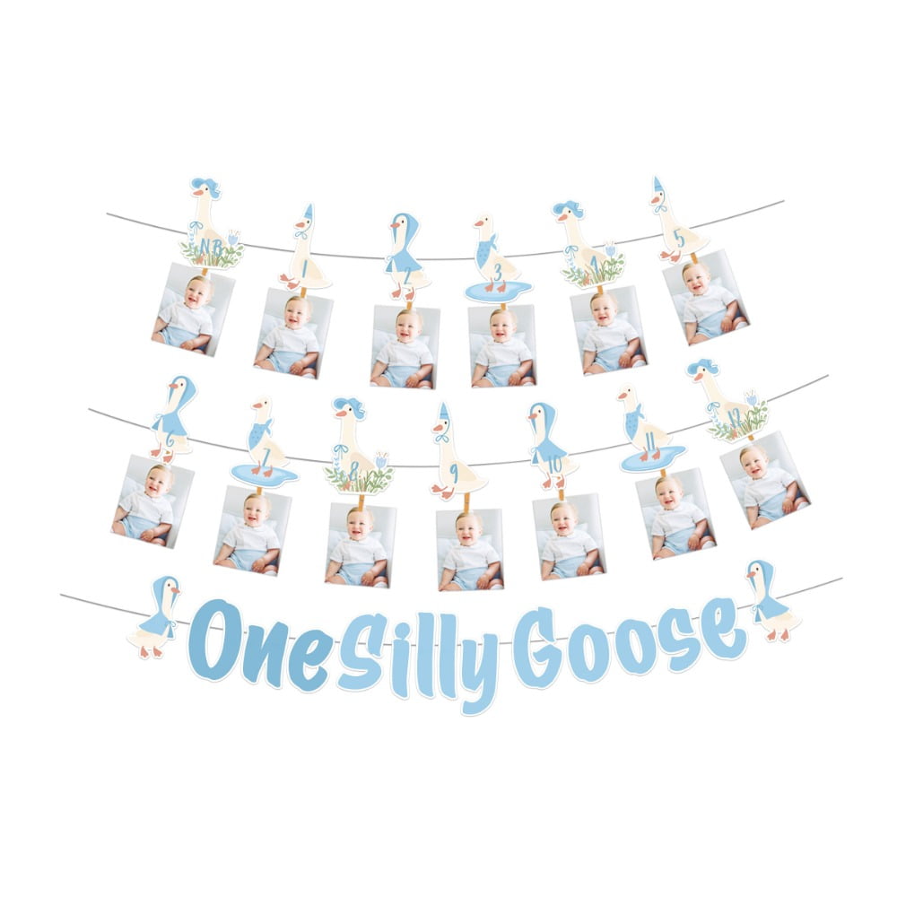 Kreatwow Silly Goose 1st Birthday Decorations, One Silly Goose Banner ...