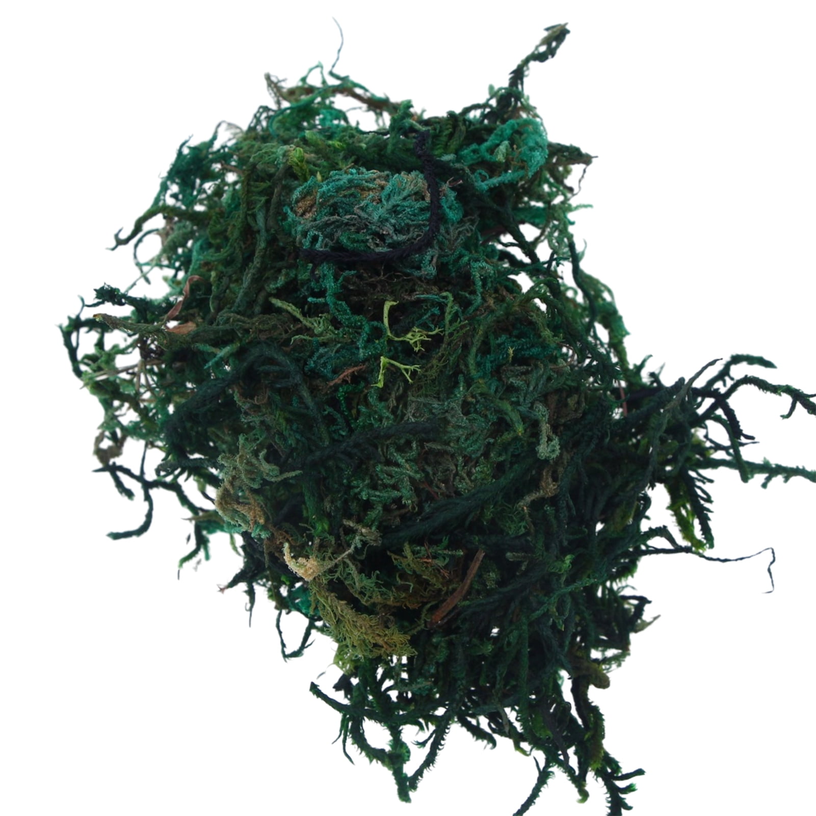 Kripyery 1 Bag Simulation Moss Vibrant Realistic Doll House Artificial ...