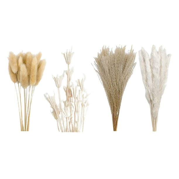 Kripyery 1 Bunch Dry Reed Grass No Watering Non-Withered Easy Care ...