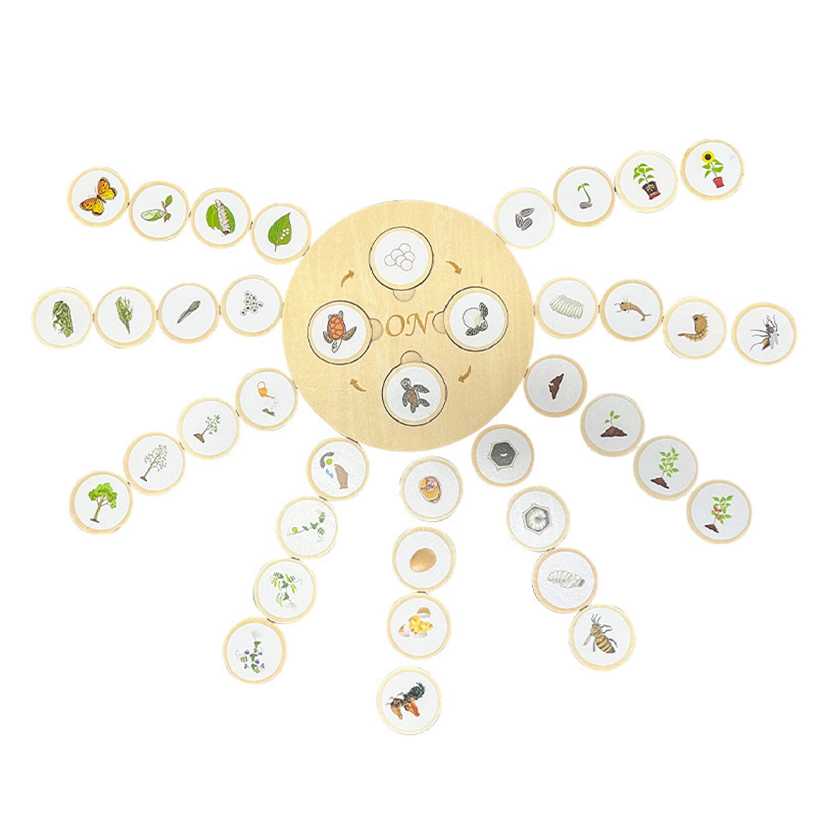 Kripyery 1 Set Life Cycle Board Interesting Hand-eye Coordination ...