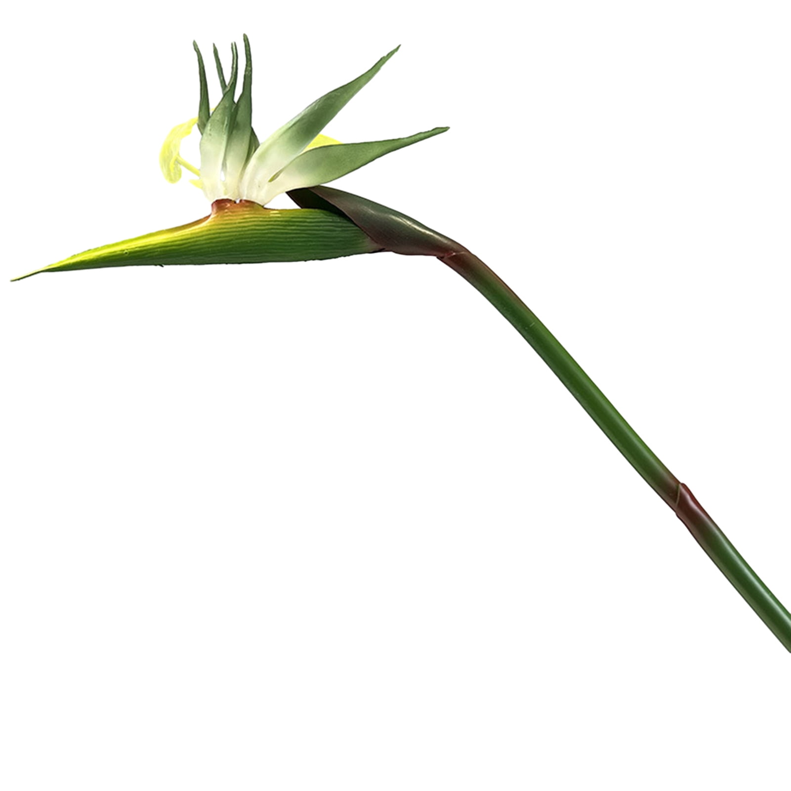 Kripyery Artificial Flower Lifelike Bird of Paradise Realistic Non ...