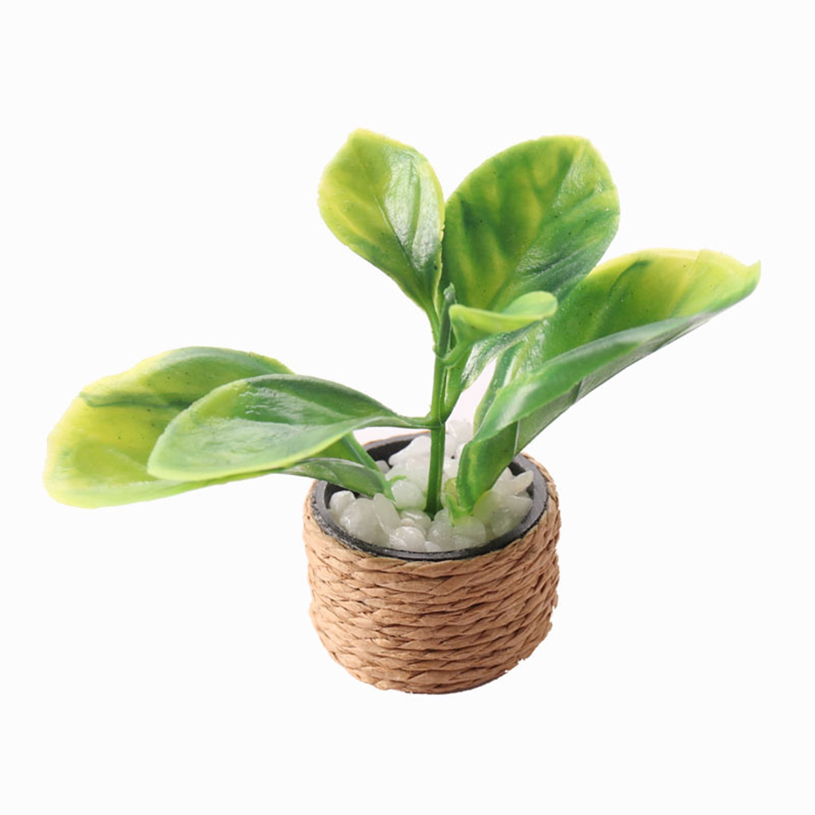 Kripyery Realistic Miniature Potted Plants - 1:12 Dollhouse Plant ...