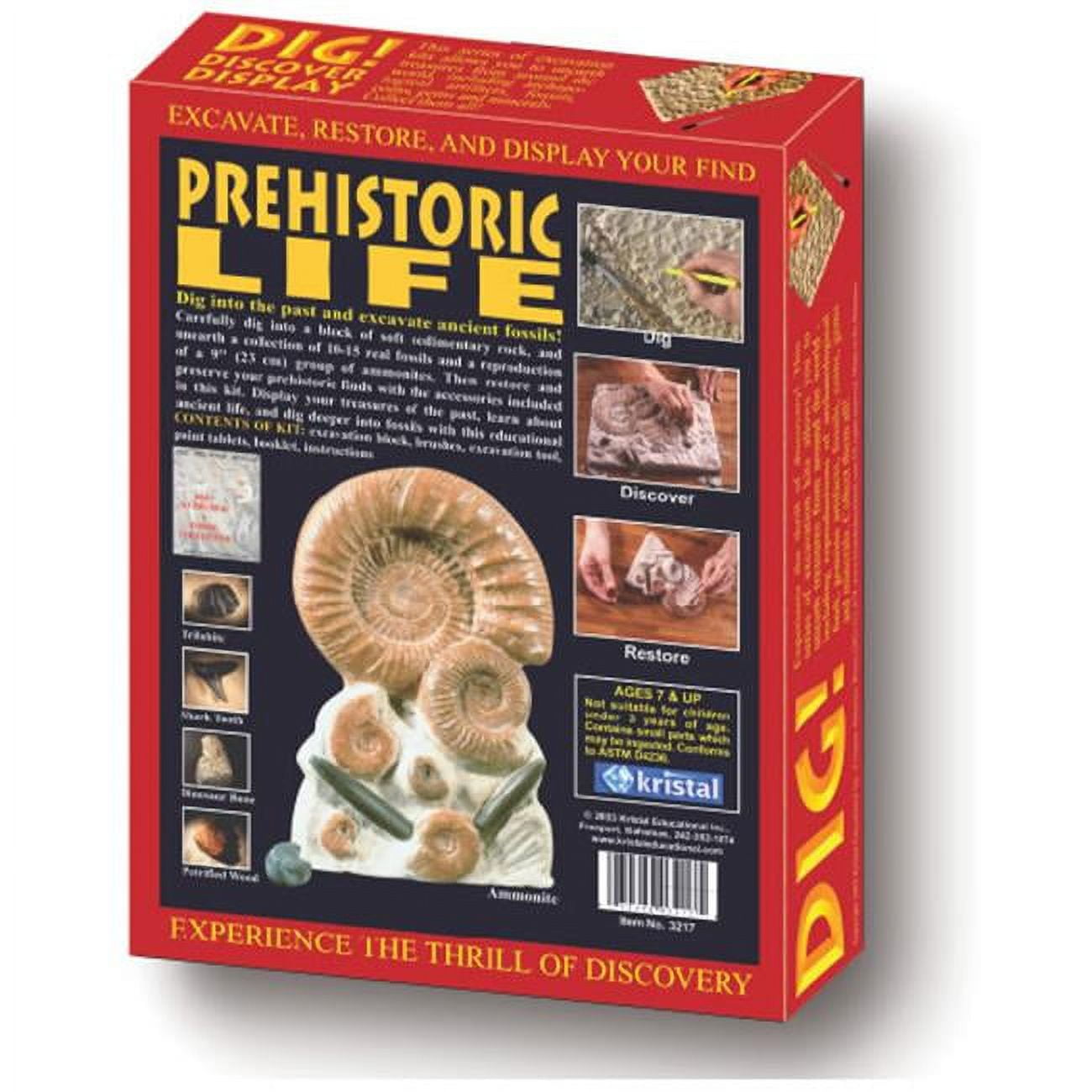 Kristal 644 Space Age Crystal Growing Kit Mini Quartz - Walmart.com