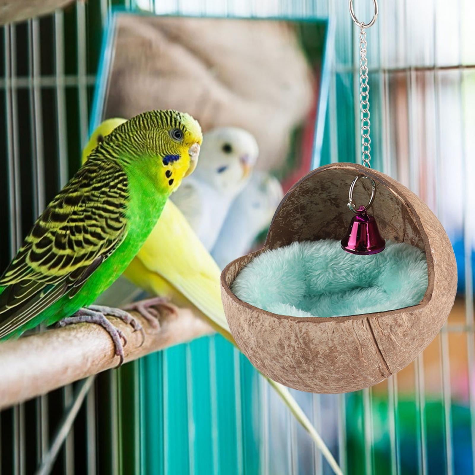 Kritne Bird Breeding, Hatching Nesting, Home Decoration Nesting Box For ...