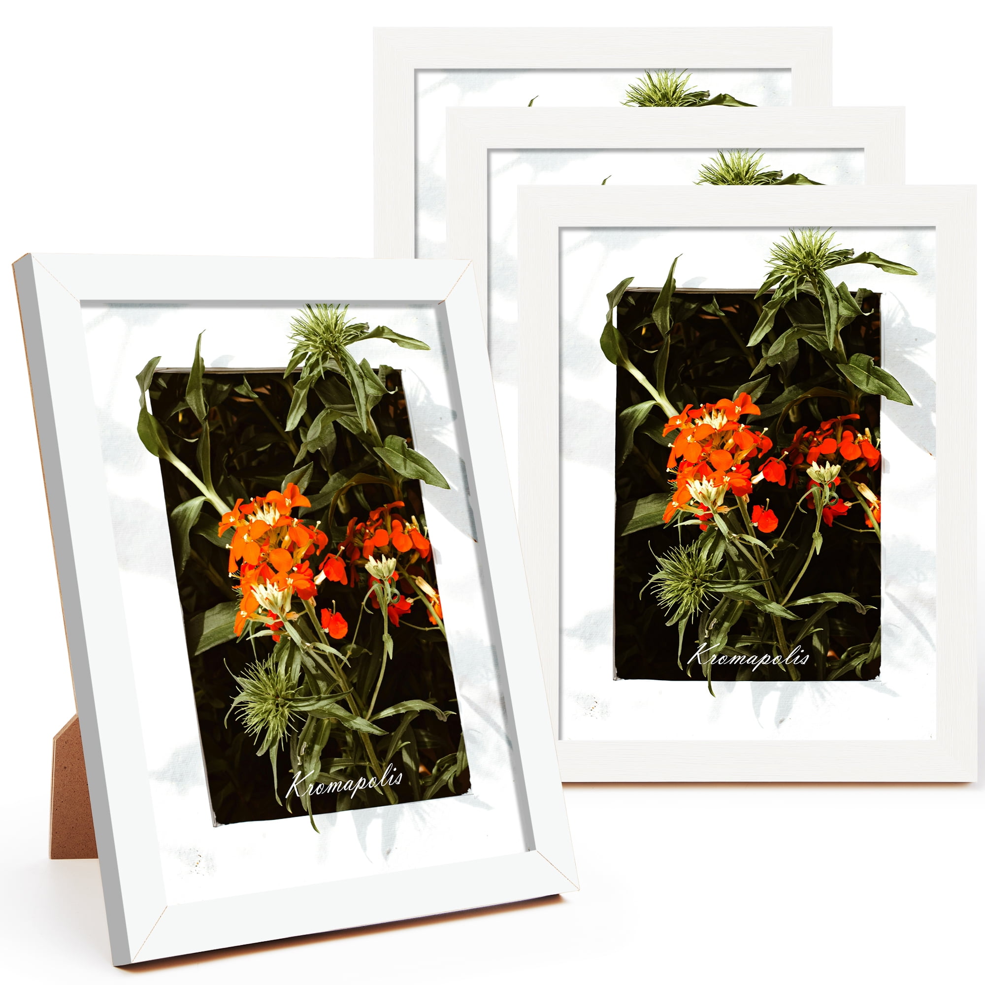 Kromapolis 6x8 Picture Frame Set of 4, Photo Frame with HD Plexiglass ...