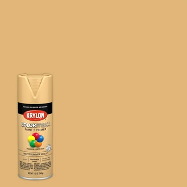 Krylon COLORmaxx Acrylic Paint + Primer, Flat, Crystal Clear, 11 oz ...