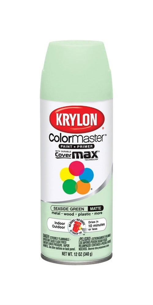 Krylon ColorMaster Matte Exterior Seaside Green Indoor/Outdoor Spray ...