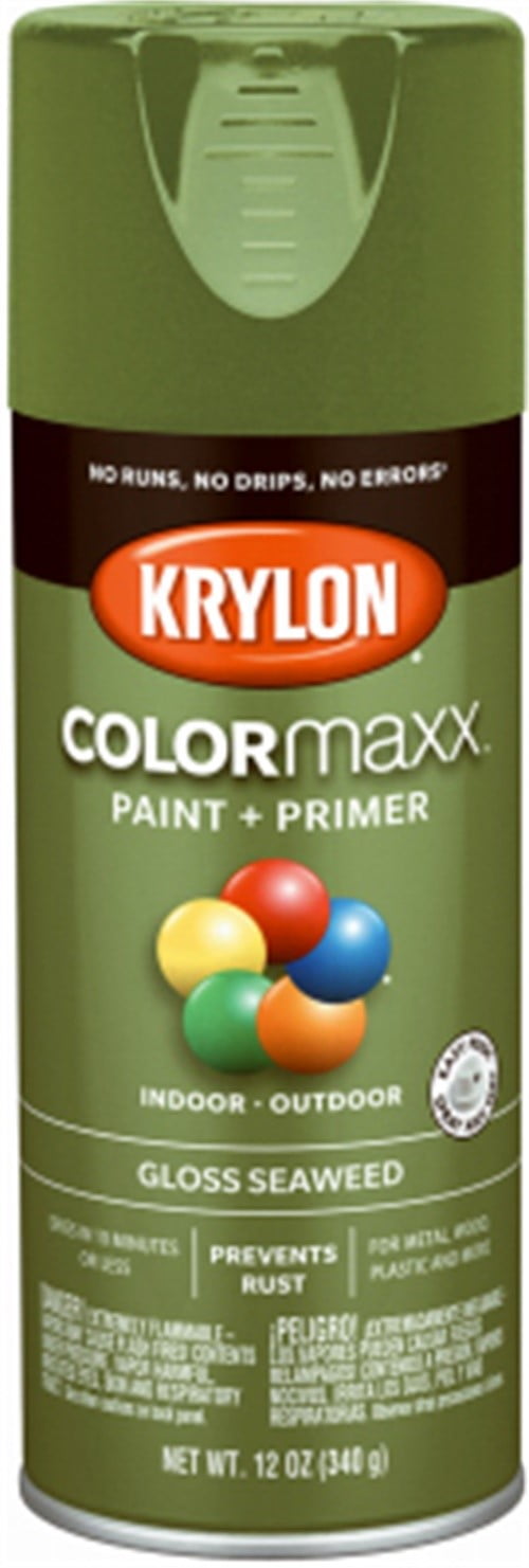 Krylon Diversified Brands K05538007 Krylon COLORmaxx Seaweed Gloss ...