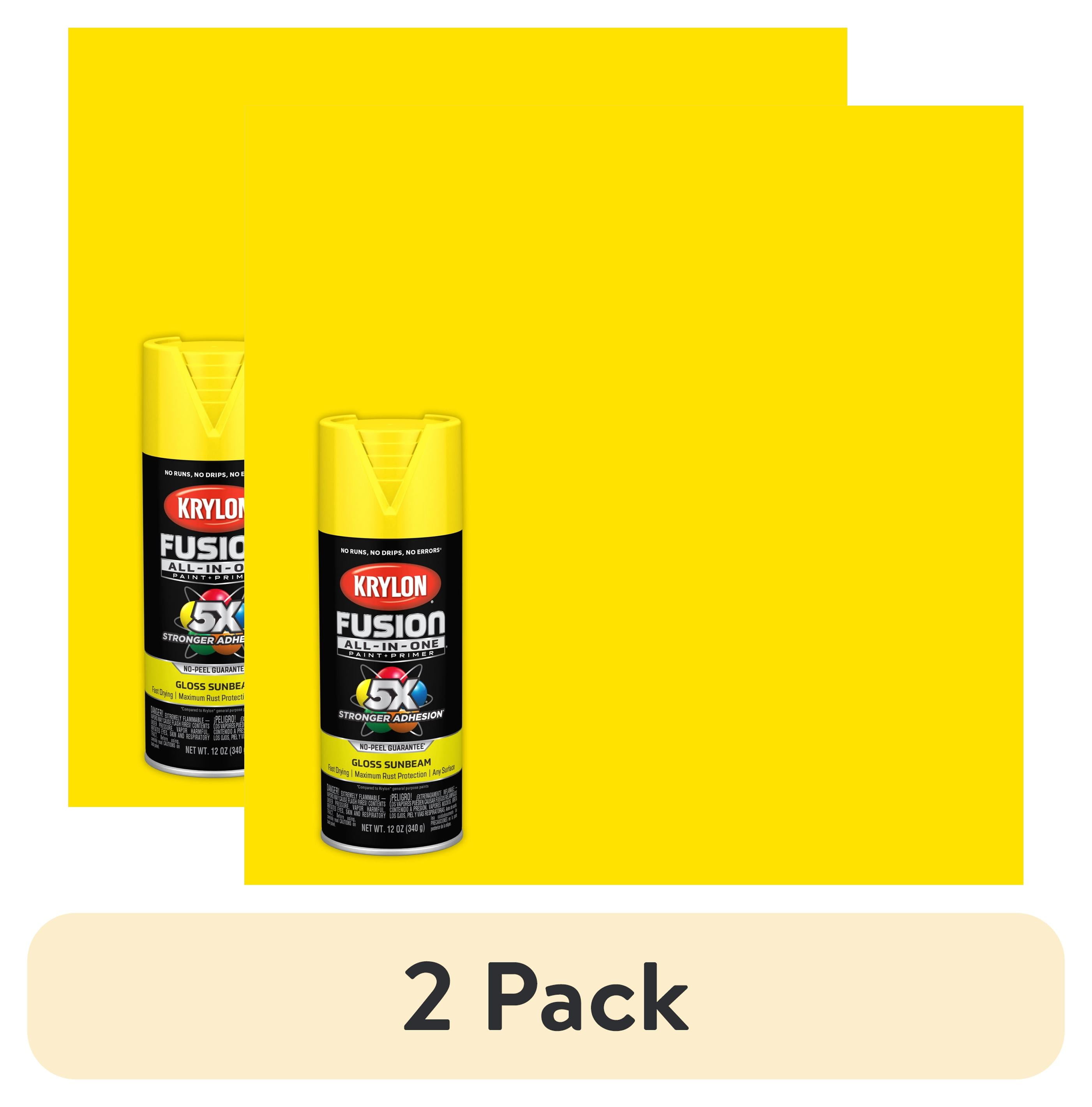 Customer reviews for (2 pack) Krylon K02725007 Krylon Fusion All-In-One ...