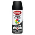 Krylon K05160202 ColorMaster Paint + Primer, Flat, Black, 12 oz ...