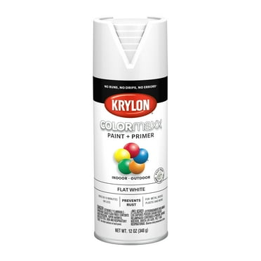 ColorPlace Gloss White Spray Paint, 10 oz, Multi-Surface, Fast Drying ...